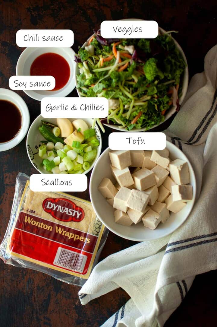 Vegetarian Momos Recipe | Cook's Hideout